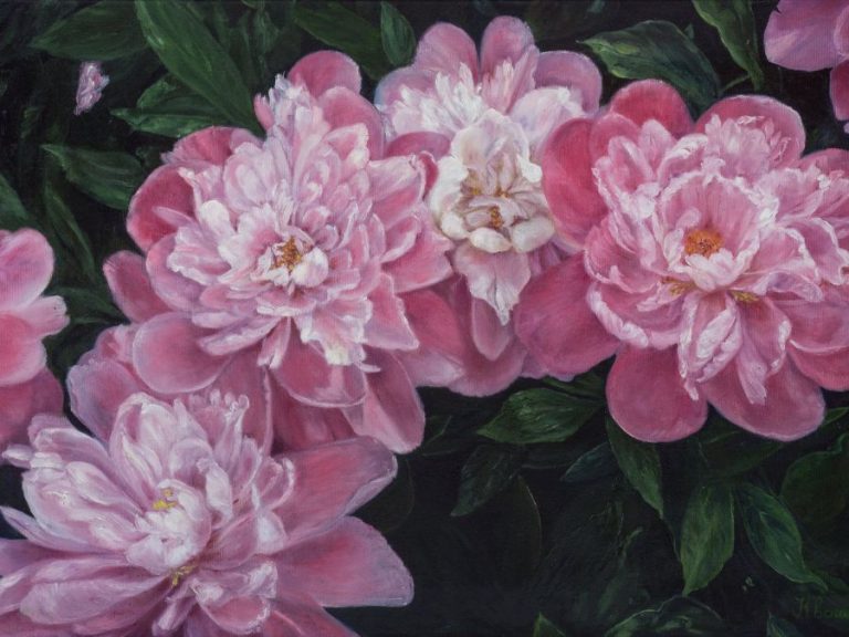 Peonies: oil paintings on canvas on order — KIA.Gallery